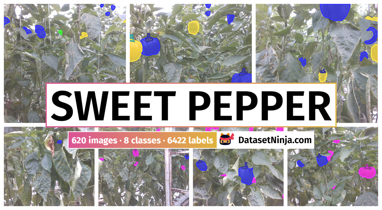 Sweet Pepper - Dataset Ninja