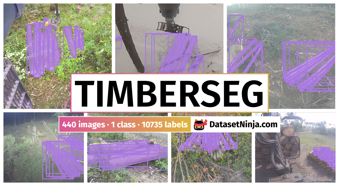TimberSeg - Dataset Ninja