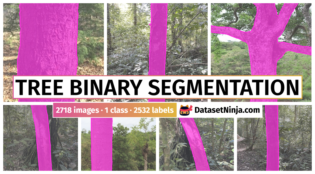 Tree Binary Segmentation Dataset Ninja 8570