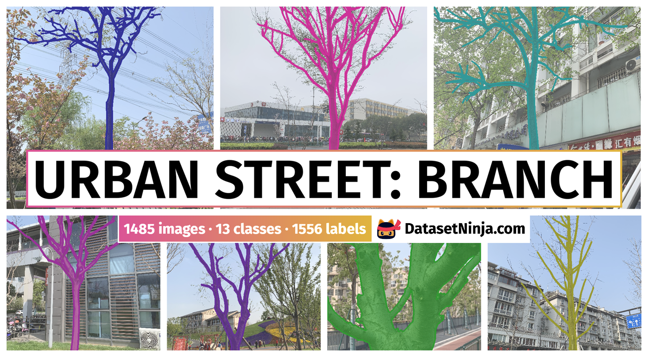Urban Street: Branch - Dataset Ninja