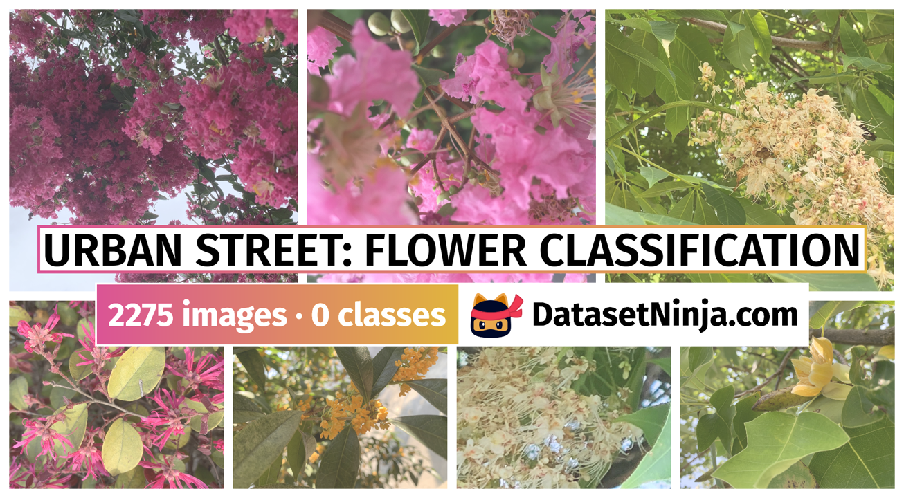 Urban Street: Flower Classification - Dataset Ninja