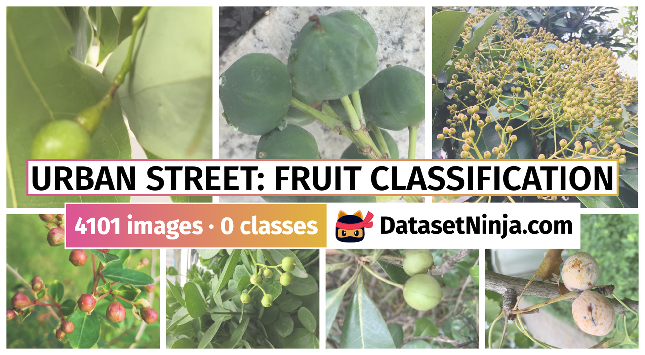 Urban Street: Fruit Classification - Dataset Ninja