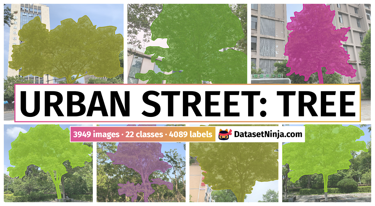 Urban Street Tree Dataset Ninja