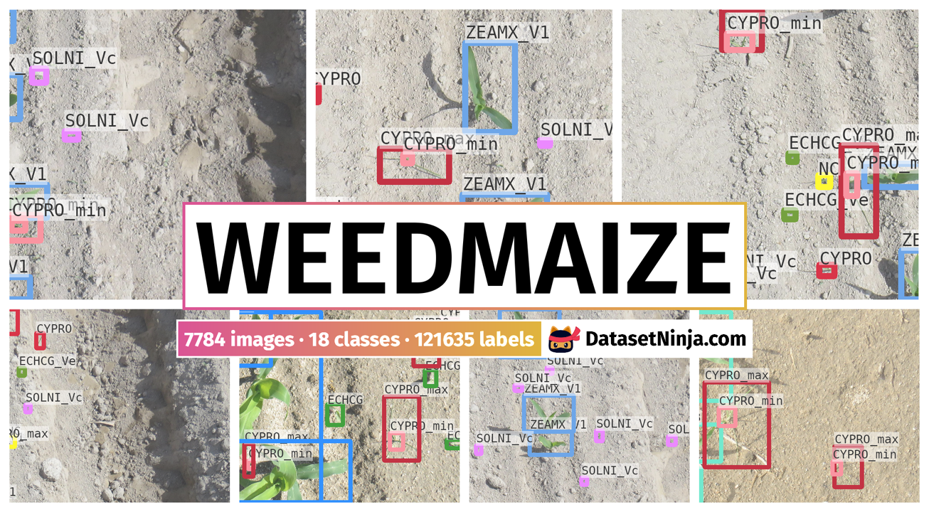 WeedMaize - Dataset Ninja