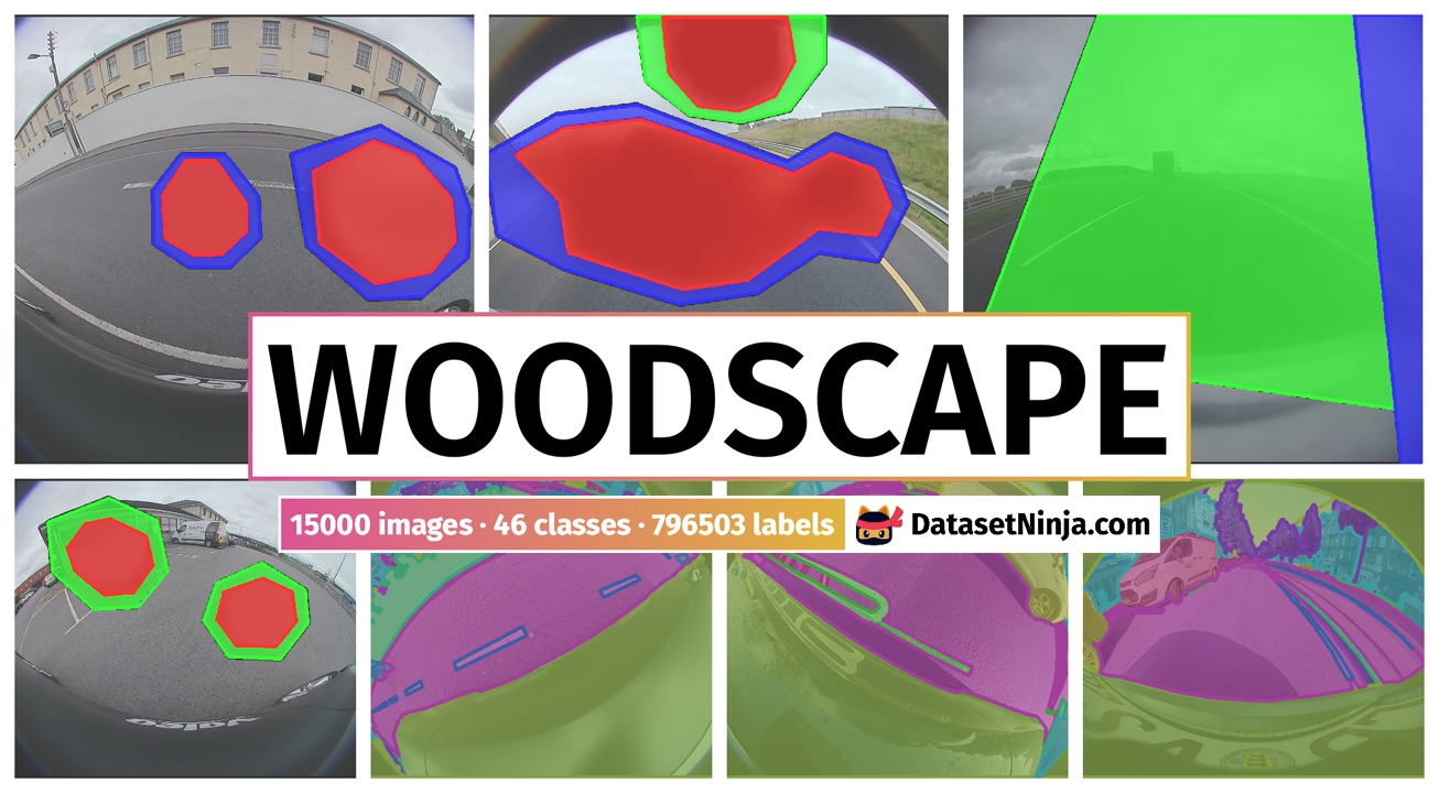 WoodScape: RGB Fisheye - Dataset Ninja